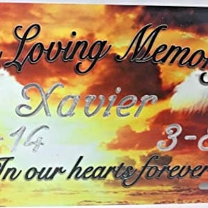 In Loving Memory R.I.P Personalized Custom License Vanity Plate Free ...