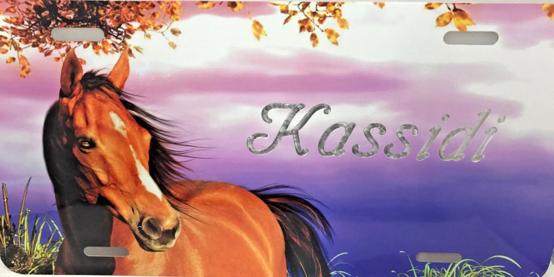 Horse Riding Horses Personalized Custom License Vanity Plate - Etsy
