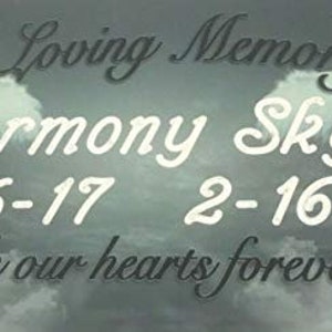 In Loving Memory R.I.P Personalized Custom License Vanity Plate Free ...