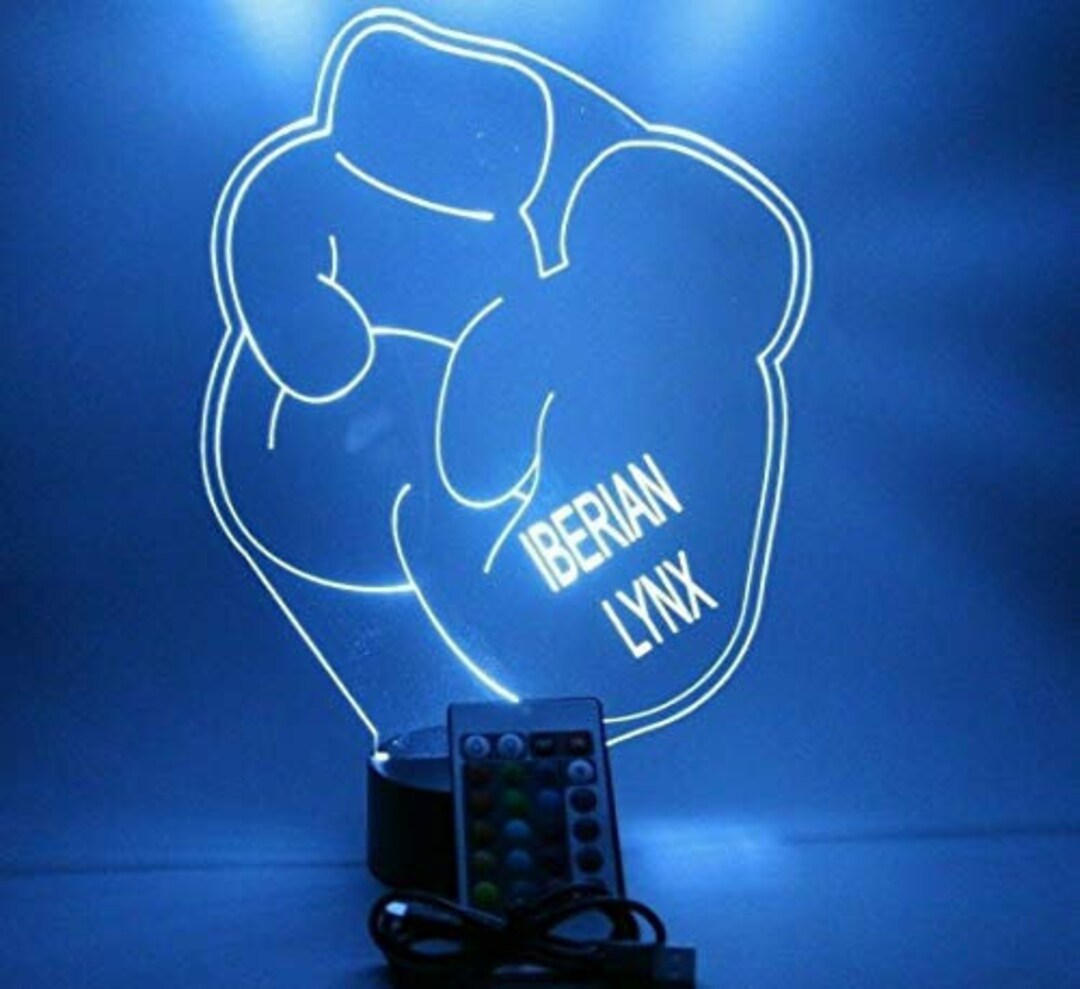 Boxing Gloves Sports Night Light up Table Desk Lamp LED Personalized ...