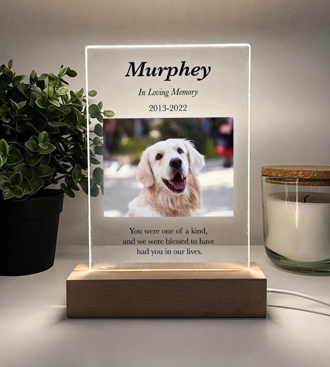 Personalized Dog Cat Pet Owner Night Light Custom Photo Dog Lamp in ...