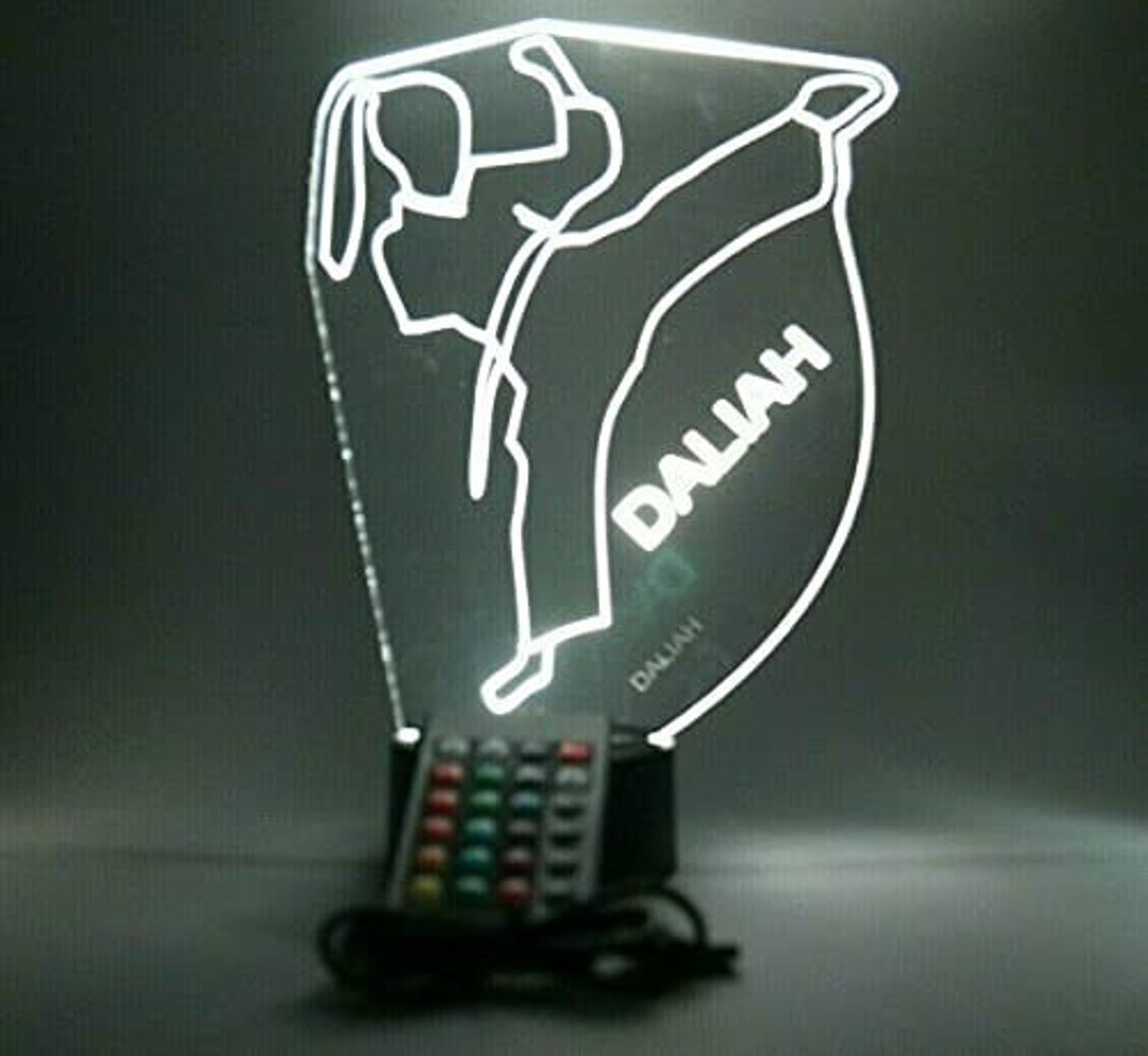 Female Girl Karate Martial Arts Kung-fu Night Light up Table Desk Lamp ...