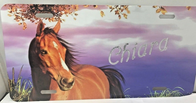 Horse Riding Horses Personalized Custom License Vanity Plate | Etsy