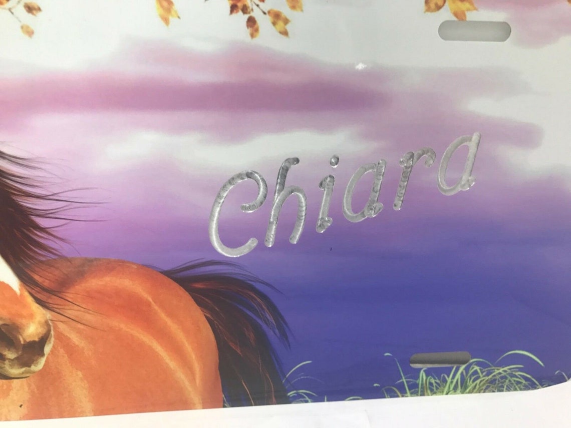 Horse Riding Horses Personalized Custom License Vanity Plate - Etsy