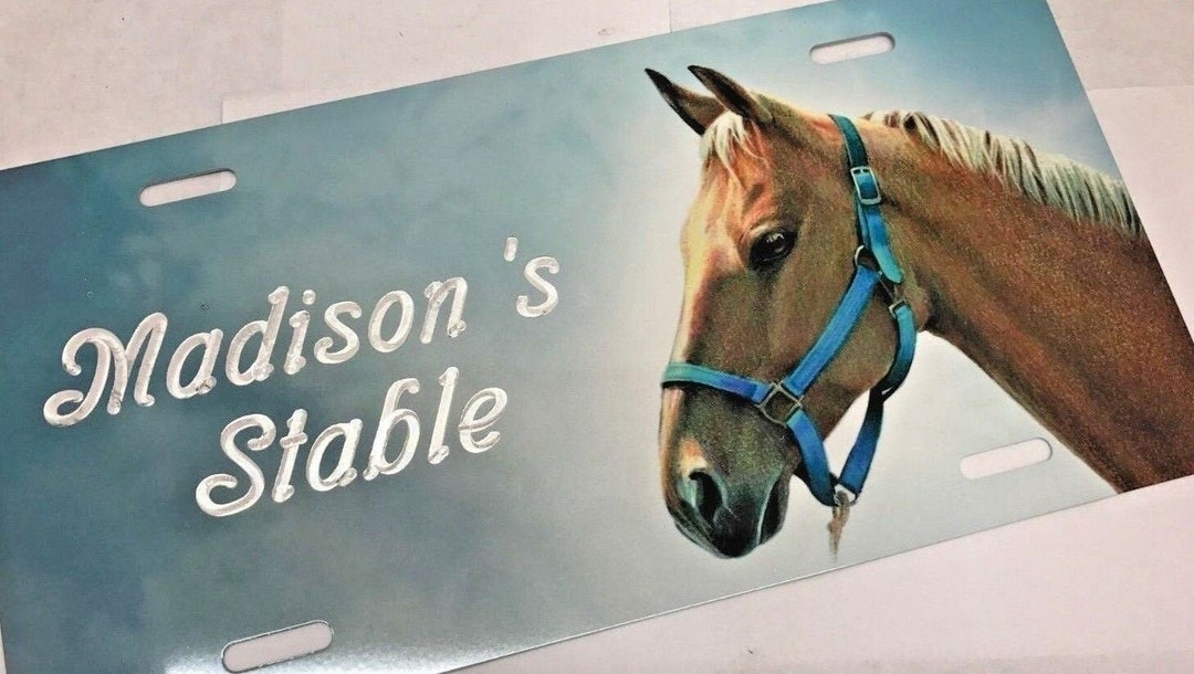 Horse Riding Horses Personalized Custom License Vanity Plate Free ...