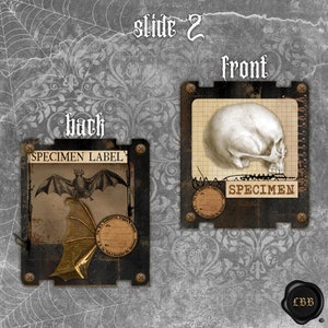 Gothic Specimen Slides for Junk Journals, Skulls & Batwings, Specimen ...