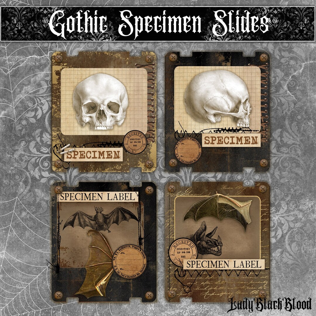 Gothic Specimen Slides for Junk Journals, Skulls & Batwings, Specimen ...