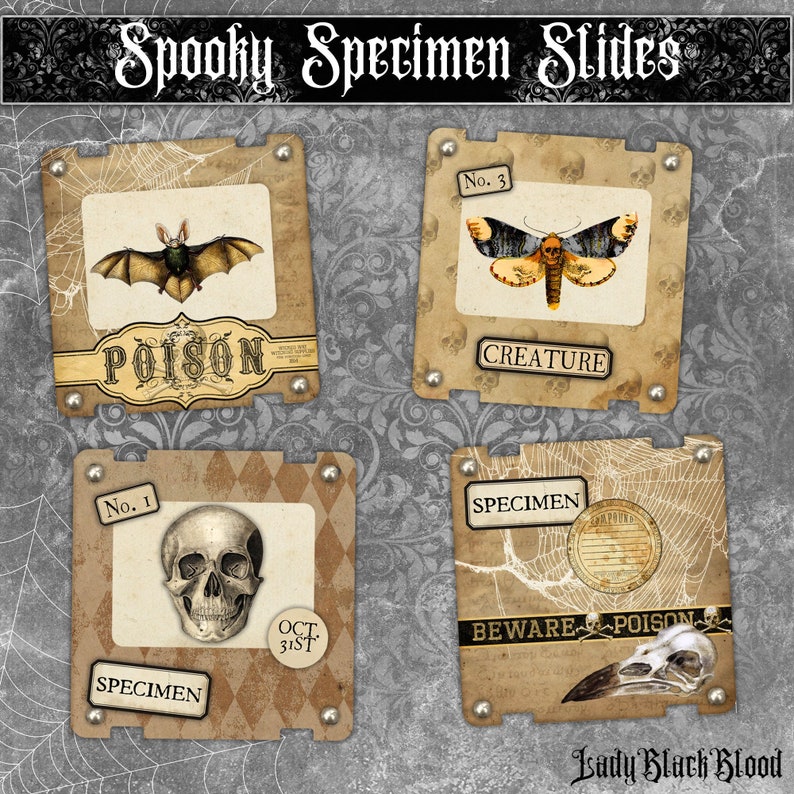 Spooky Specimen Slides for Junk Journals, Skulls & Batwings, Specimen ...