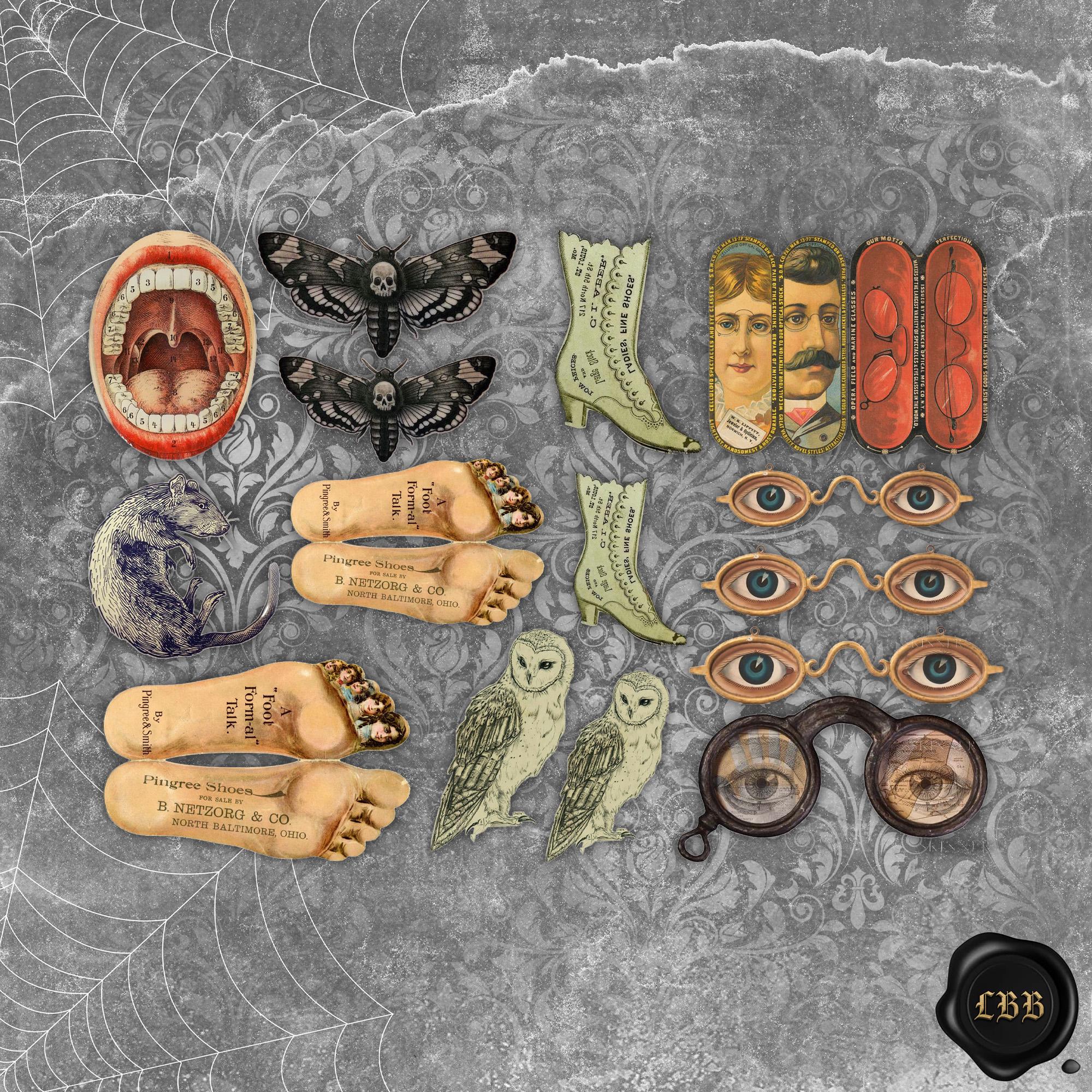 Collection of Curiosities No. 2 | 59 Macabre Elements | Oddities ...
