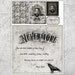 Nevermore, Edgar Allan Poe Themed Journaling & Scrapbooking Kit, Cards, Coffin Book, Envelope ...
