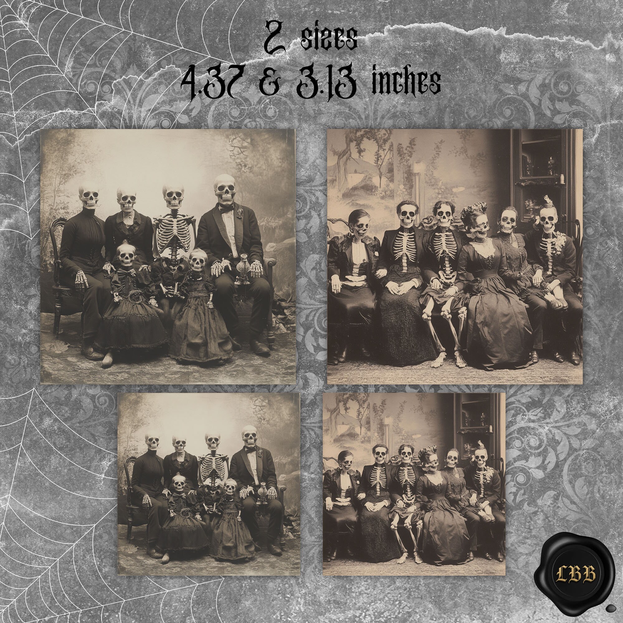 Bones & Bloodlines, Gothic, Skeleton Family Portraits, Gothic Ephemera ...