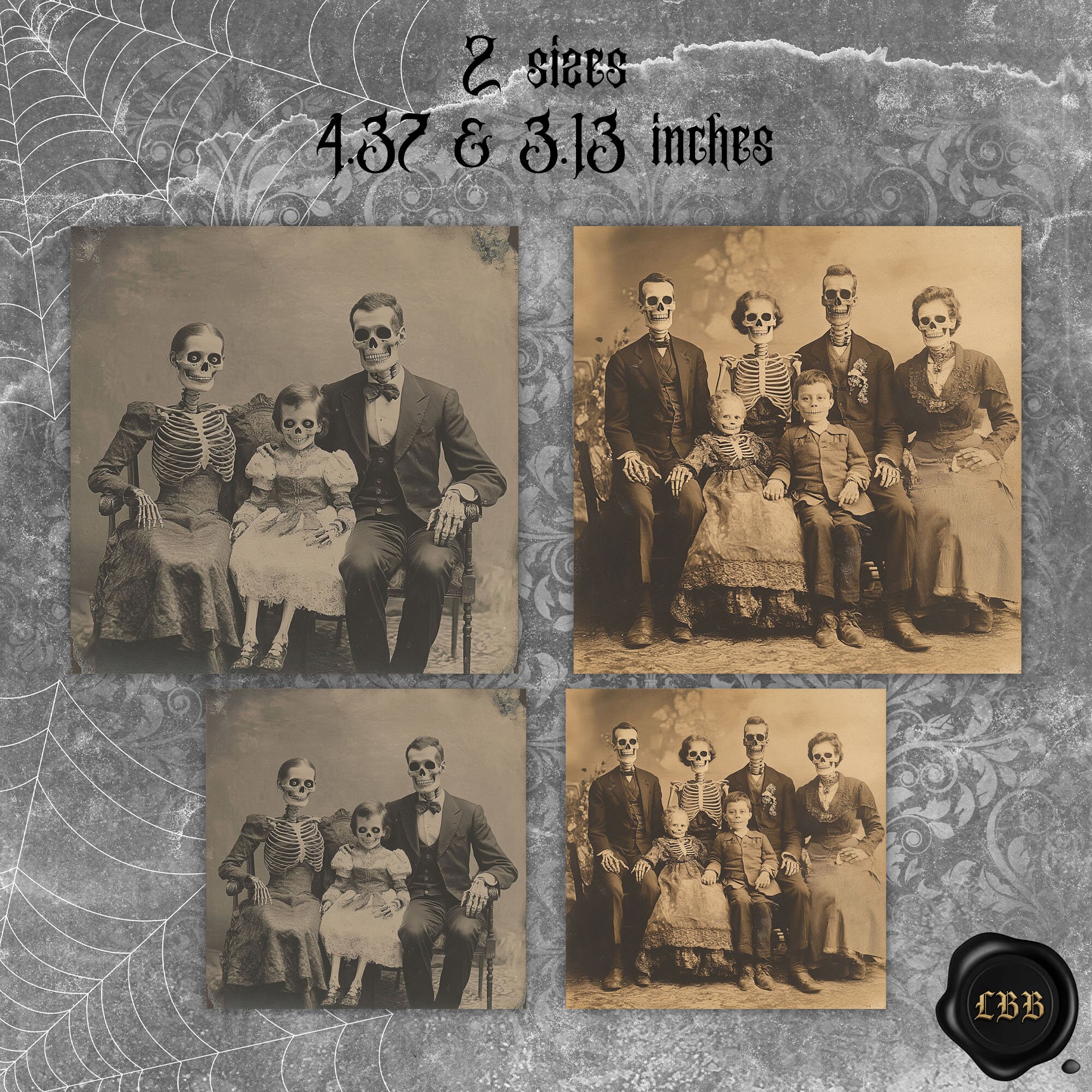 Bones & Bloodlines, Gothic, Skeleton Family Portraits, Gothic Ephemera ...