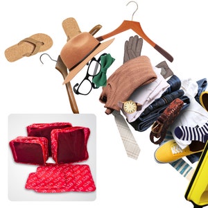 Delta Sigma Theta DST Packing Cubes 6 Pieces Travel DST Set - Etsy