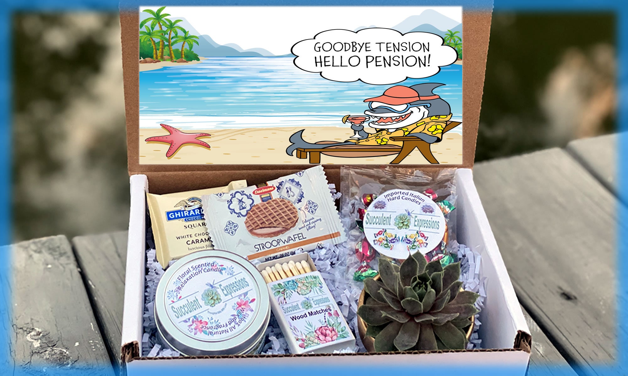 Retirement Care Package Succulent Gift Box Retirement Gift | Etsy