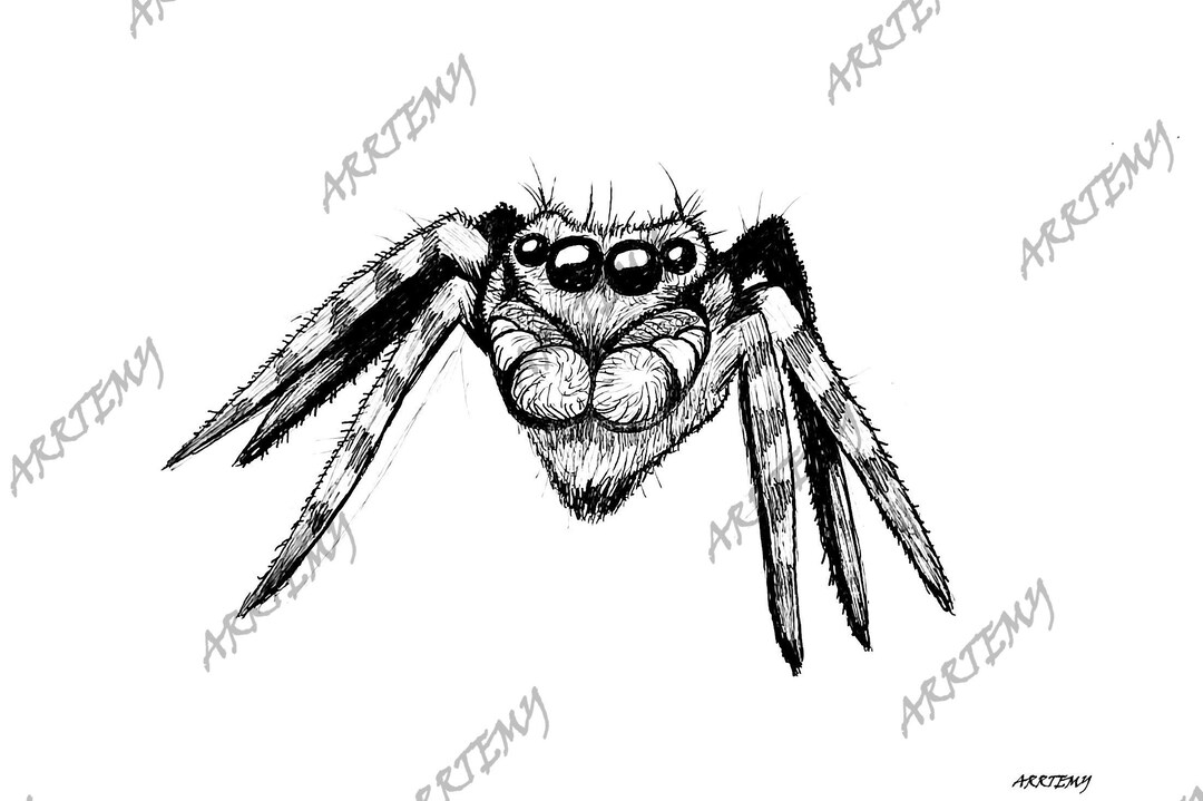 Download Spider Art Print - Etsy