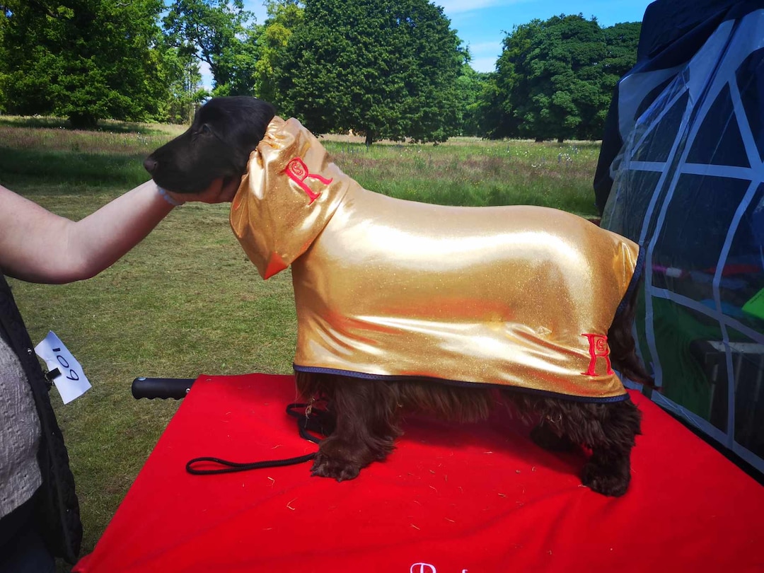 Stretch Show Coat for Cocker Spaniels, Handmade by Redgranate - Etsy
