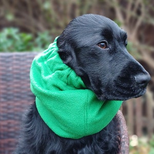 Snood for Cocker Spaniel - Etsy