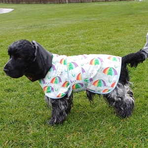 Waterproof Coat (made to Measure) for Cocker Spaniels, Redgranate - Etsy