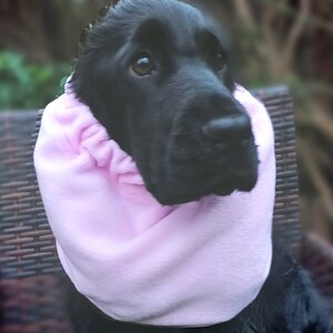 Snood for Cocker Spaniel - Etsy