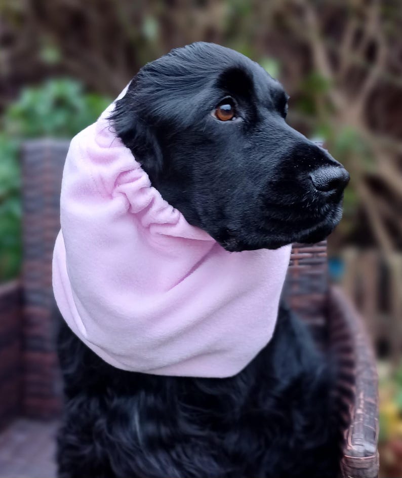 Handmade Fleece Dog Snood, Cocker Spaniel Winter Warmer - Etsy