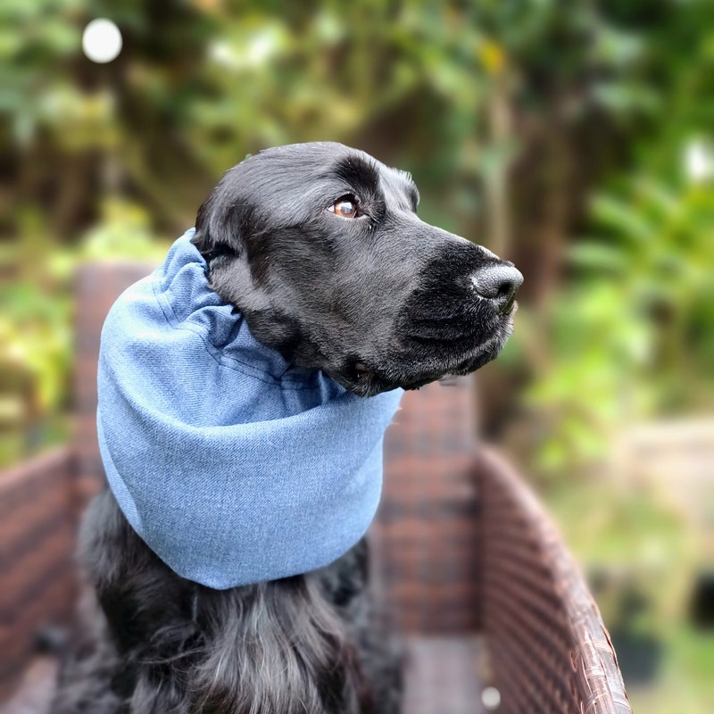 Dog Snood - Etsy Canada