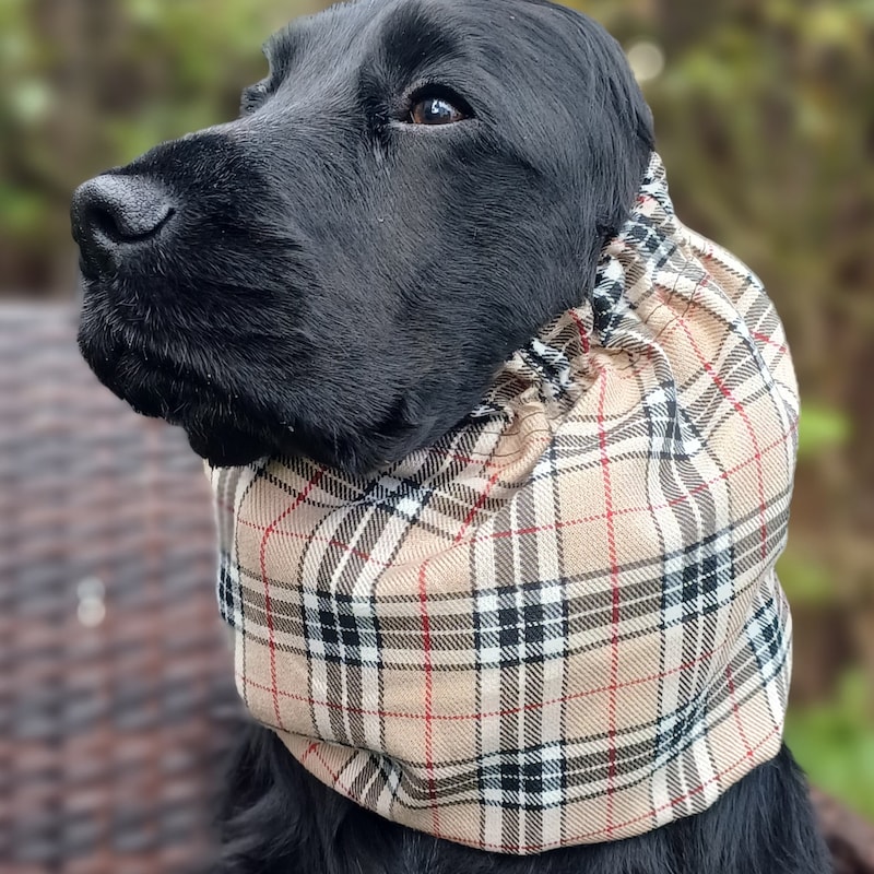 Cocker Spaniel - Etsy