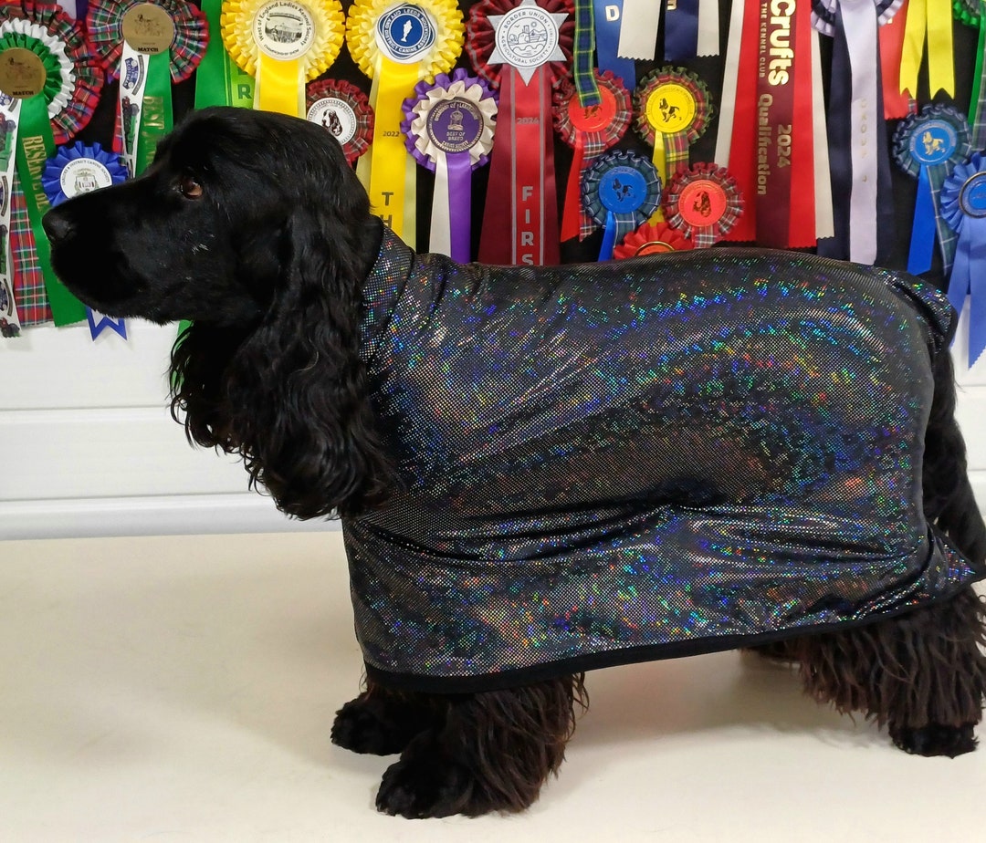 Show Coat for English Cocker Spaniel, Lycra Show Coat, Redgranate - Etsy