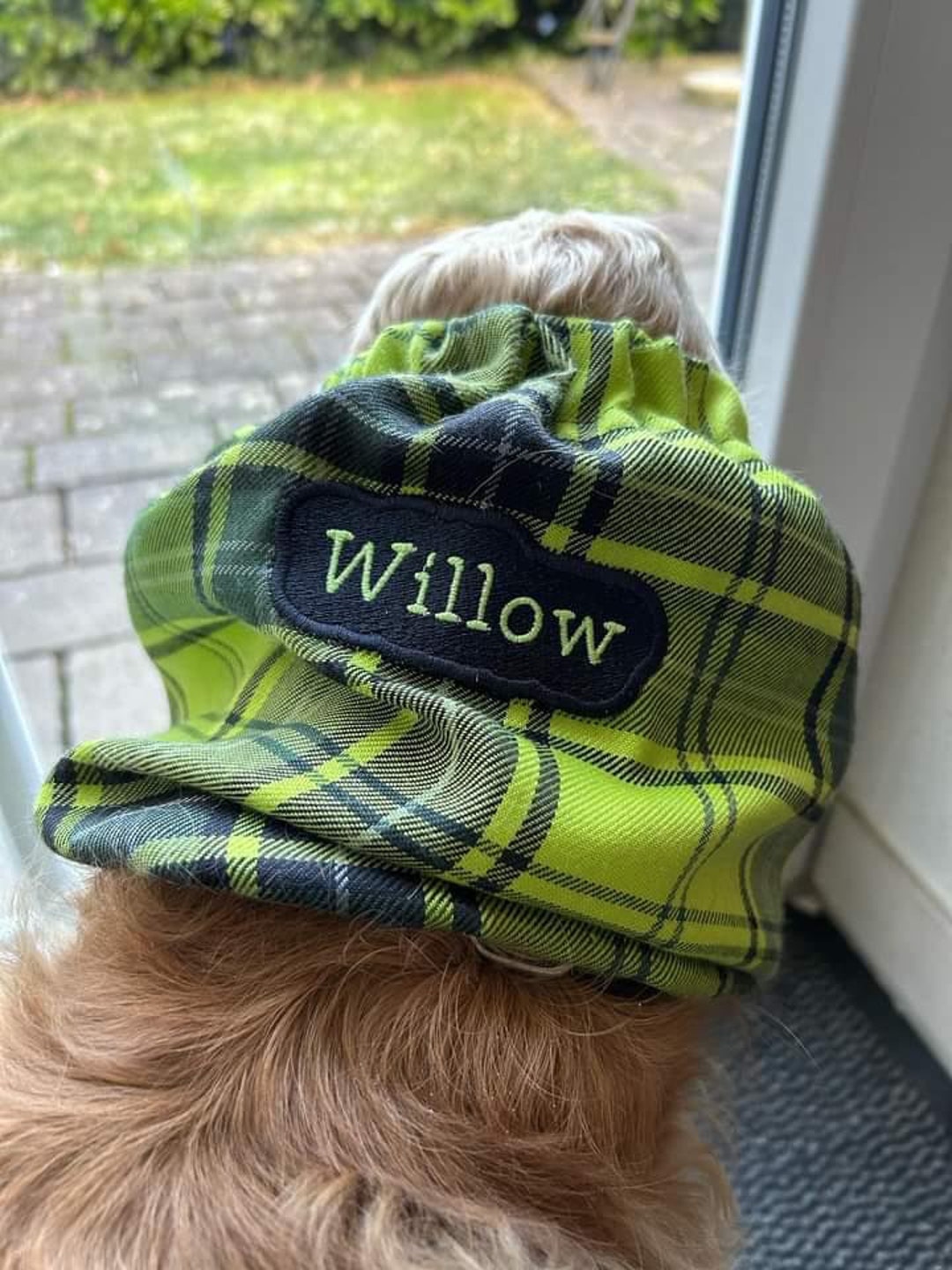 Personalized Cocker Spaniel Snood, Embroidered Tartan Dog Snood - Etsy UK
