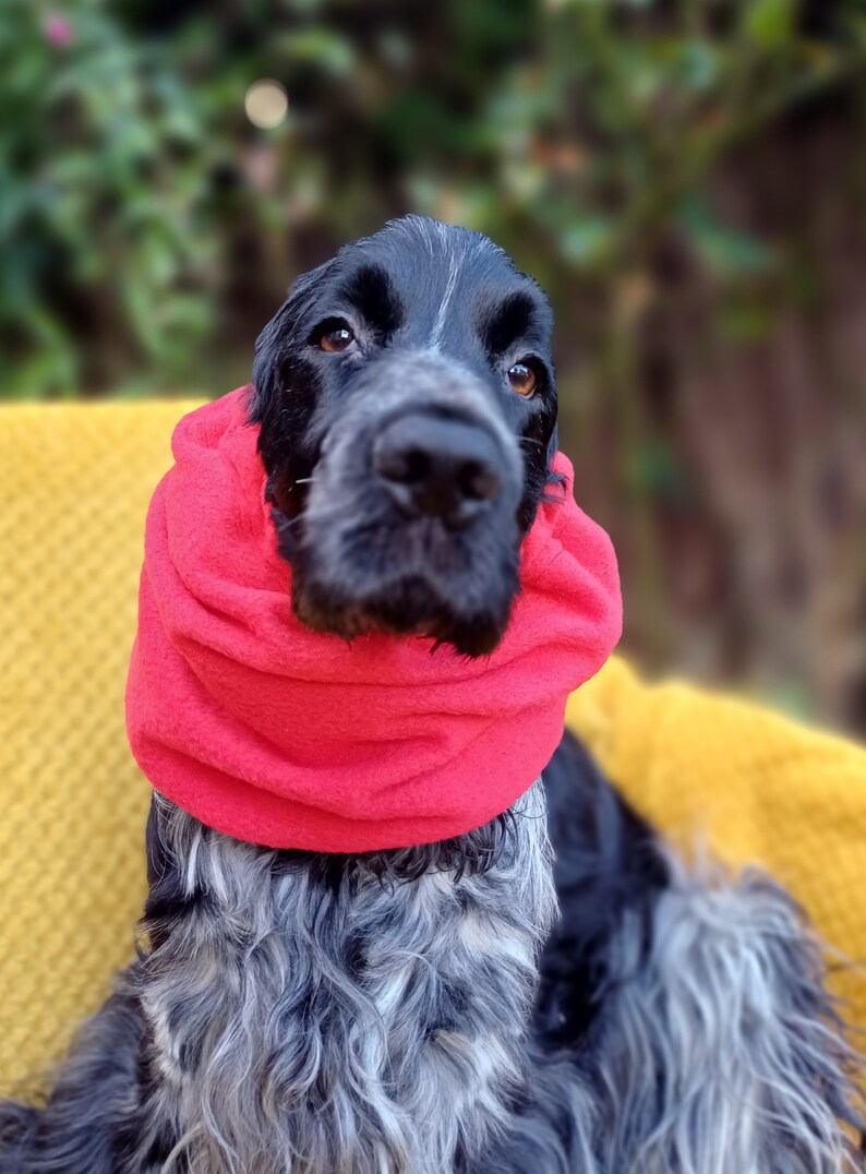 Handmade Fleece Dog Snood, Cocker Spaniel Winter Warmer - Etsy