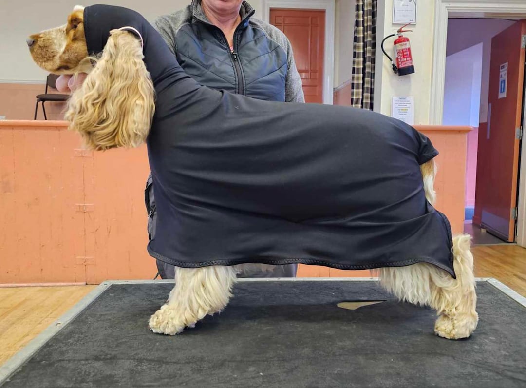 Lycra Show Coat for Cocker Spaniels, Redgranate - Etsy