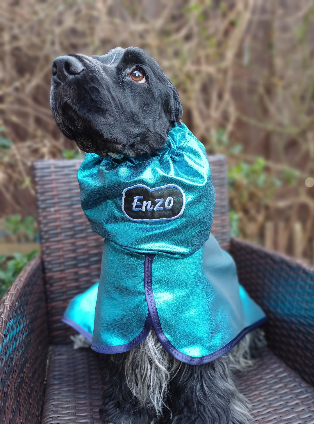 Show Coat Lined With Satin for Cocker Spaniel, Personalised ...