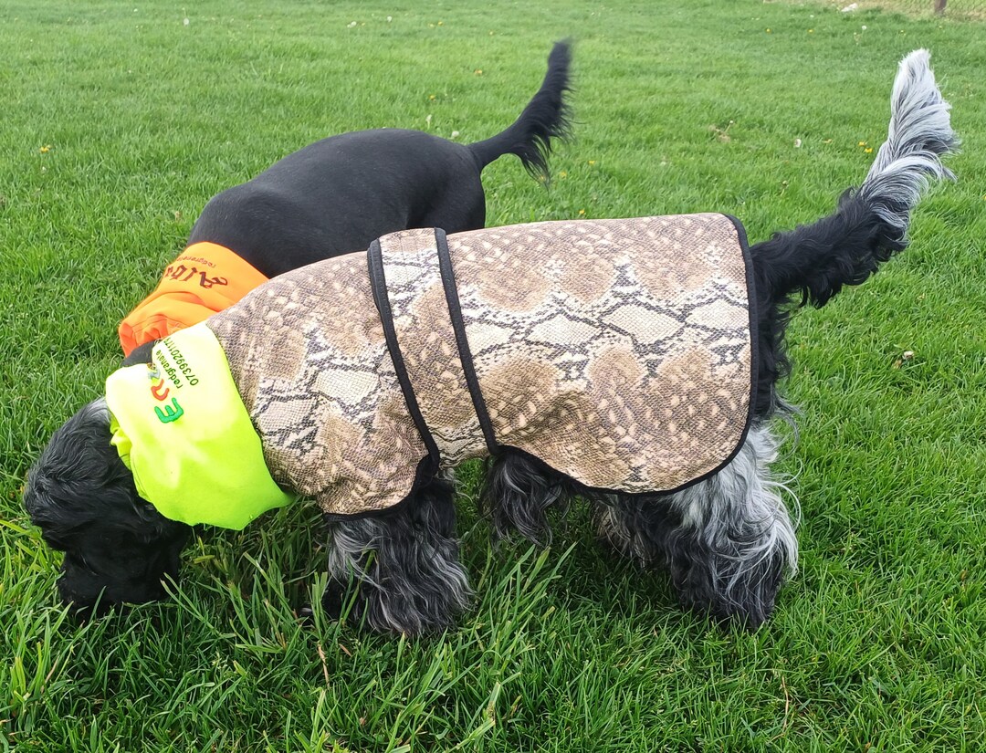 Waterproof Dog Coat, Cocker Spaniel Waterproof Jacket, Summer Jacket ...