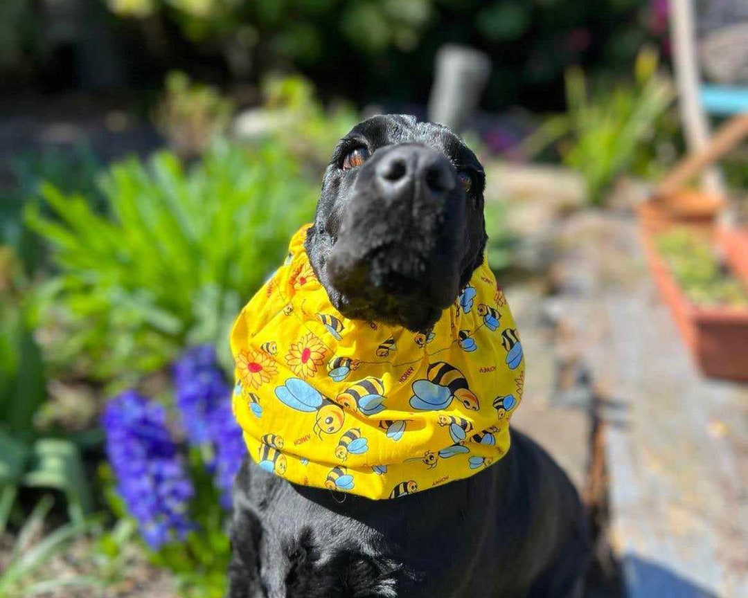 Bee Snood for Dogs - Etsy