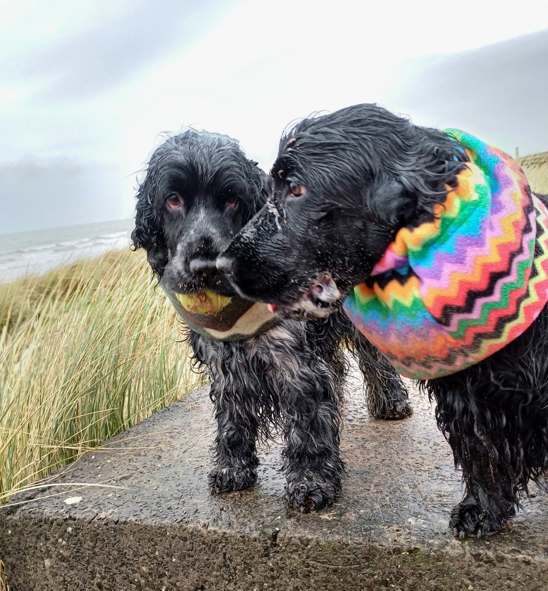 Redgranate, Snood for Dog, Spaniel Snood, Cocker Spaniel Snood - Etsy