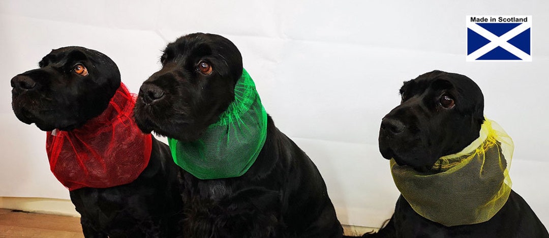 Redgranate Snood for Cocker Spaniel, Cocker Spaniel Snood, Spaniel ...