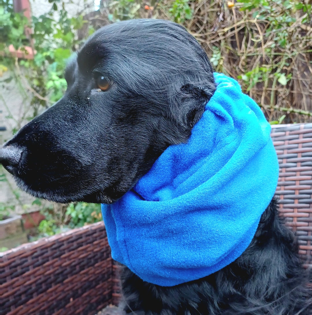 Snood for Cocker Spaniel - Etsy