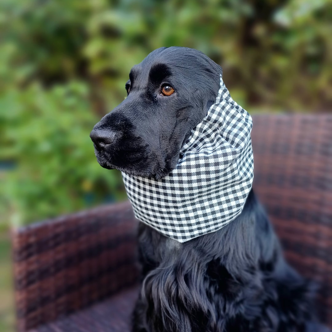 Redgranate,snood for Cocker Spaniel ,dog Snood, Dog Protector, Ears ...