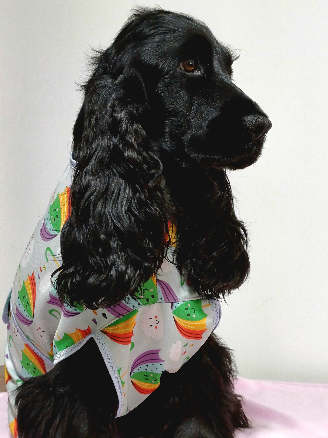 Waterproof Coat made to Measure for Cocker Spaniels, Redgranate - Etsy