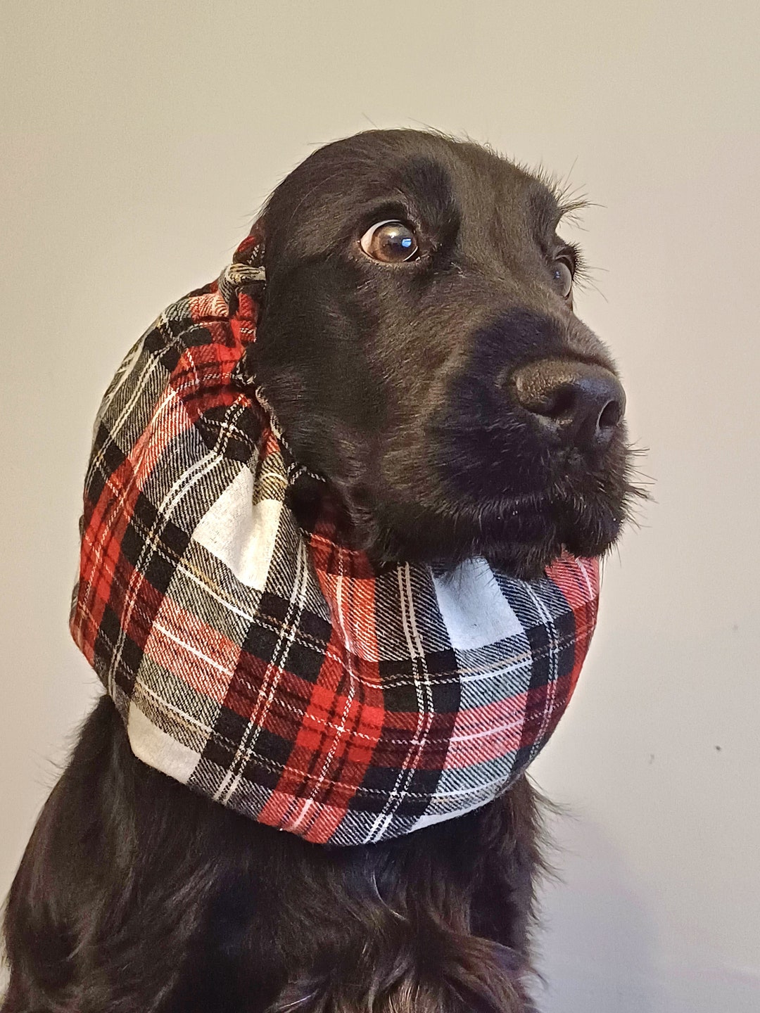 Redgranate, Cocker Spaniel Snood, Dog Snood, Spaniel Snood, Tartan ...