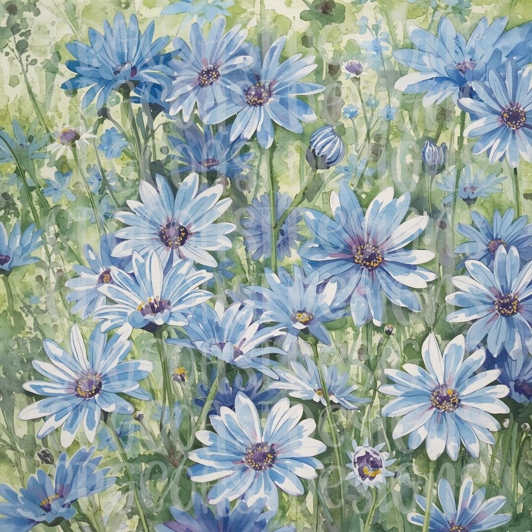 Blue Daisy PNG Background Wildflower PNG Watercolor Floral Clipart ...