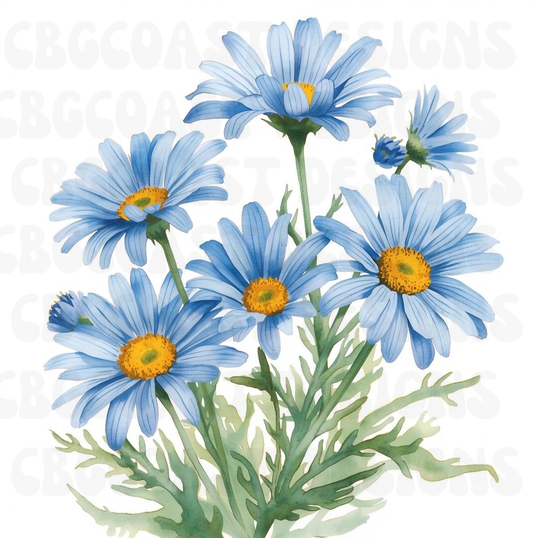 Daisy PNG Blue I Flower Wildflower PNG I Daisy Watercolor Clipart I ...