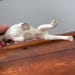 English Setter Dog Figurine - Etsy