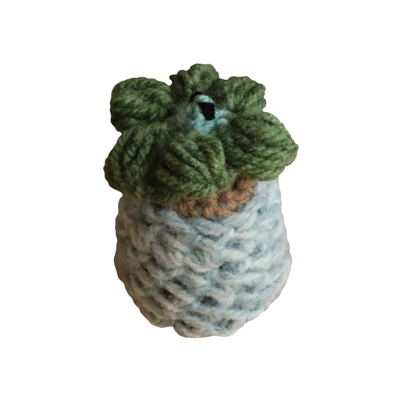 Mini Crochet Succulents, Flowers, and Plants: Unique Handmade Crocheted ...