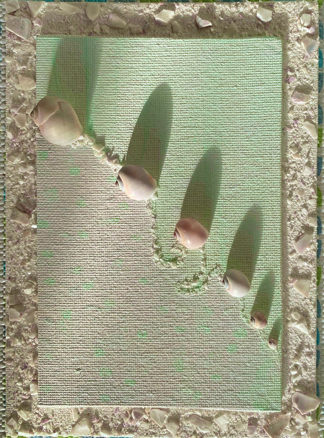 Moon Snail Trails: Moon Snail Shells With Crushed Mother-of-pearl ...