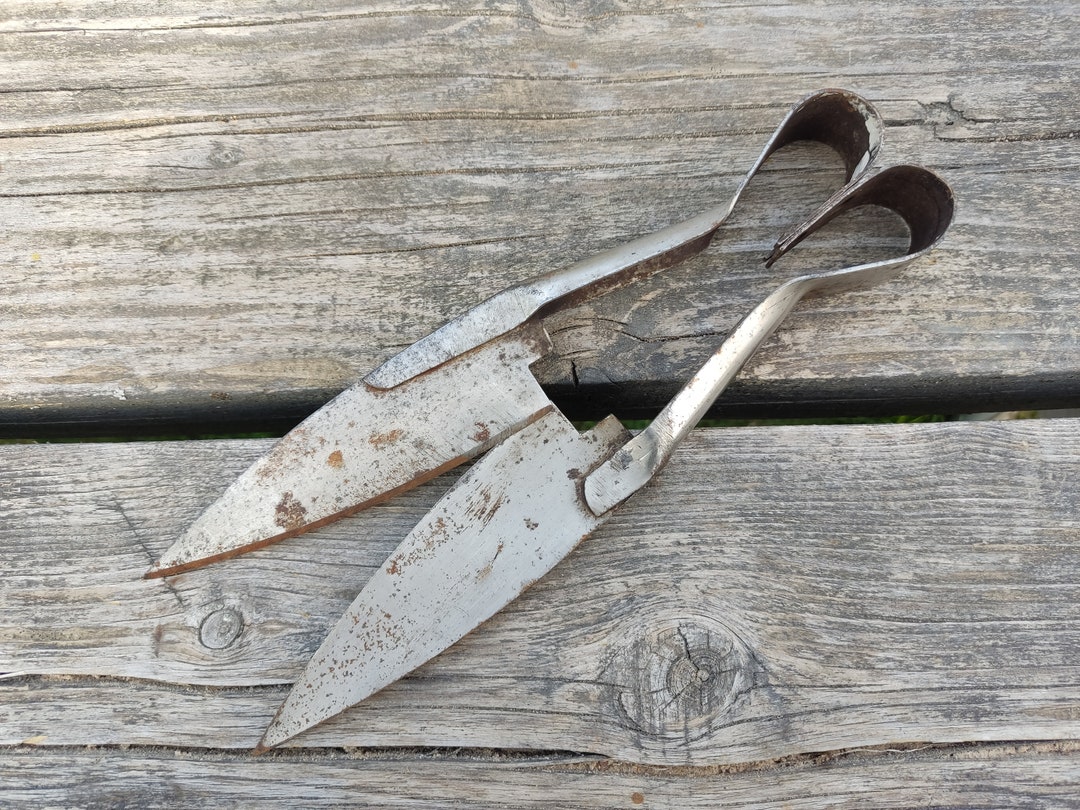 Vintage Wool Clippers Shears Sheep Scissors Shearing Primitive Wool ...