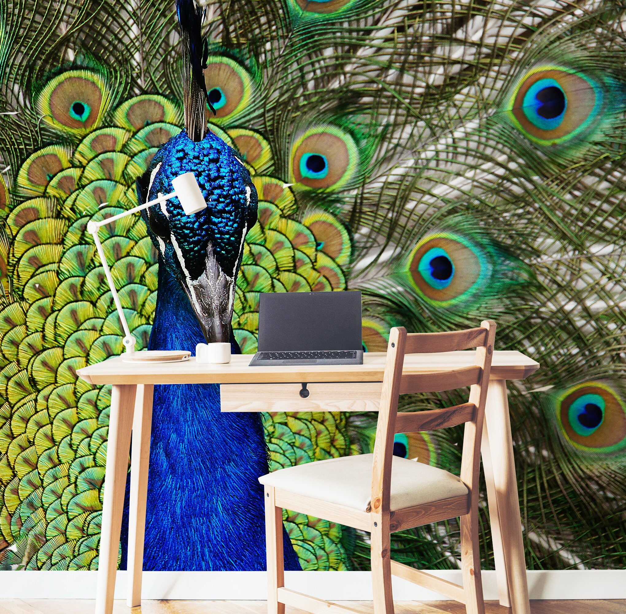 Peacock Wallpaper Peacock Mural Bird Wallpaper Bird Mural - Etsy