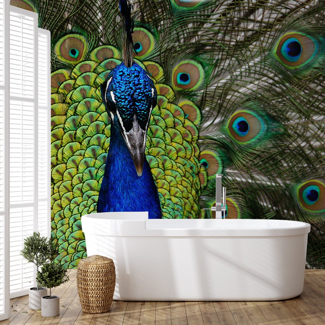 Peacock Wallpaper Peacock Mural Bird Wallpaper Bird Mural - Etsy