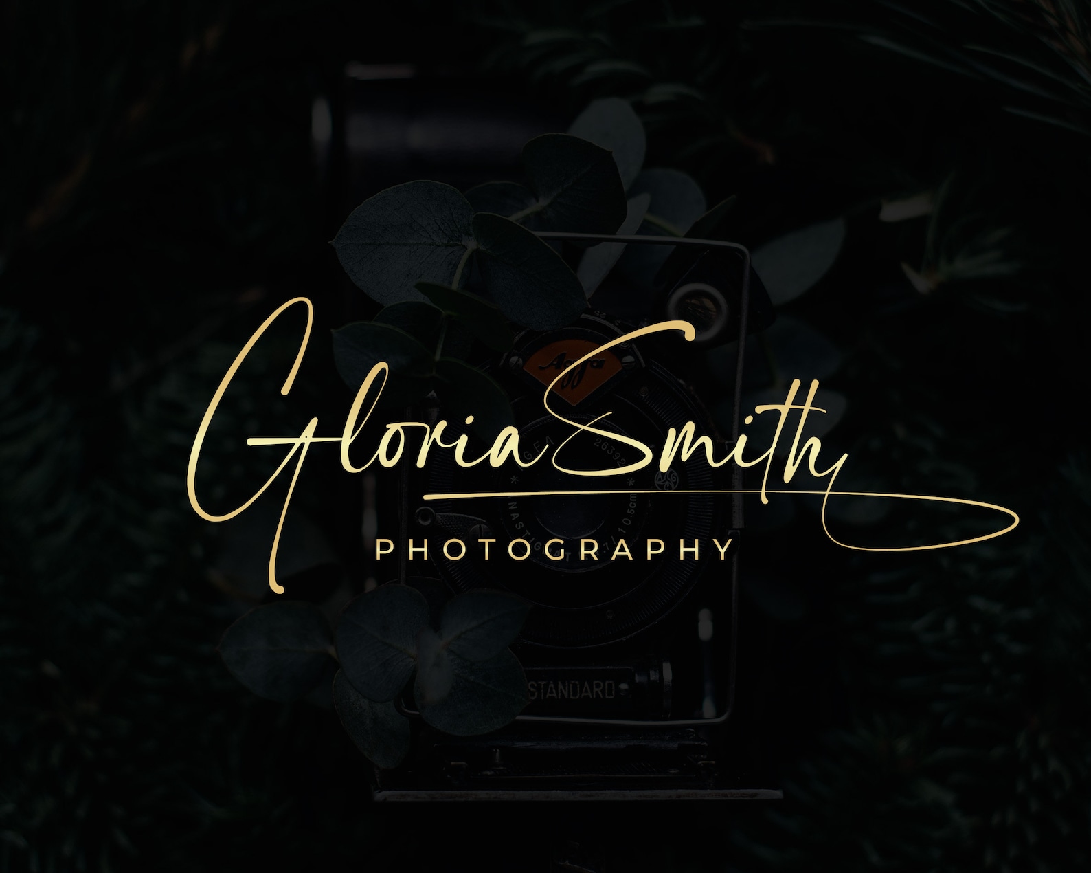 Photography Logo and Watermark Custom Logo Design - Etsy