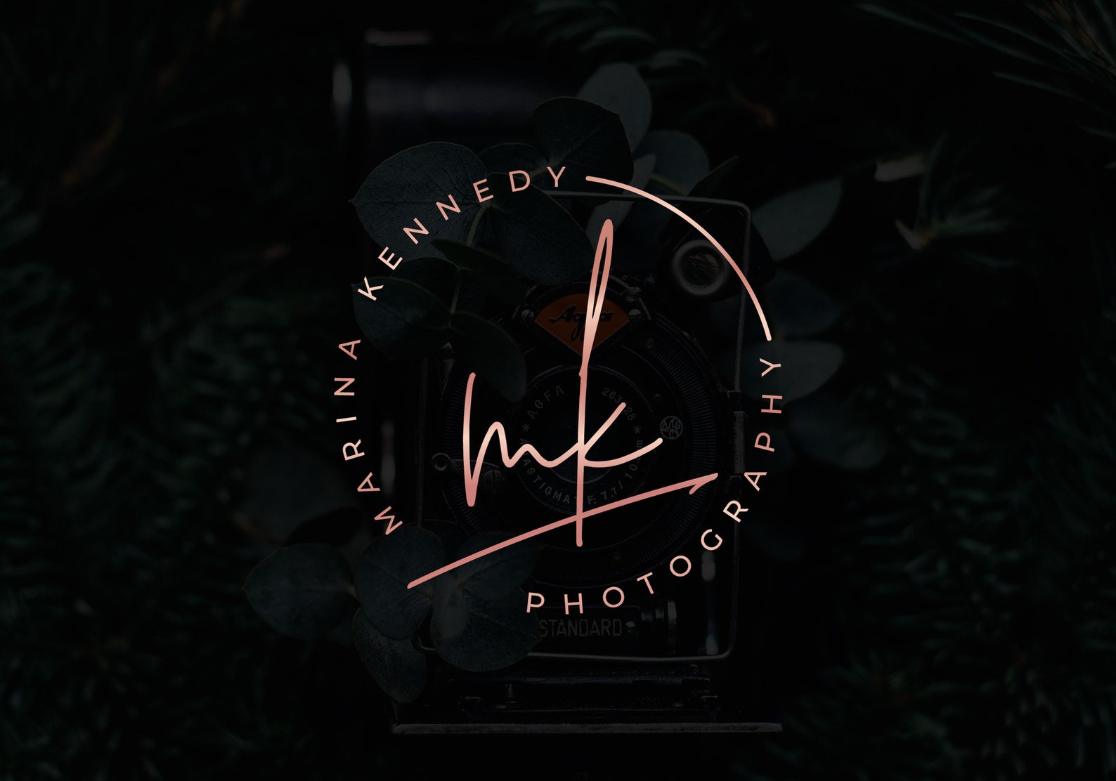 Custom Photography Logo and Watermark, Handwritten Signature - Etsy