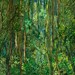 Jungle - Etsy